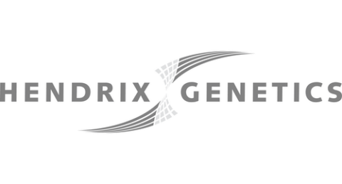 Sales Training & Development Solutions – The Brooks Group